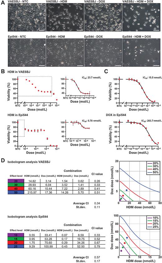 p53 Pathway Inactivation Drives SMARCB1-deficient p53-wildtype ...
