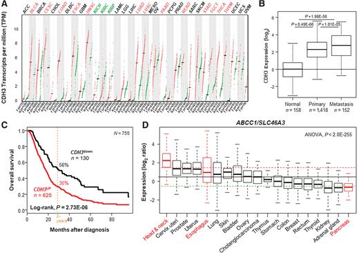 First-in-Human, Phase I Study of PCA062 in Solid Tumors—Letter ...