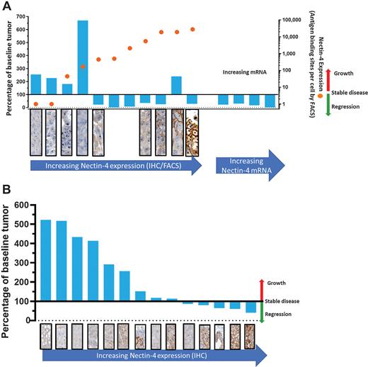 BT8009; A Nectin-4 Targeting Bicycle Toxin Conjugate for Treatment of ...