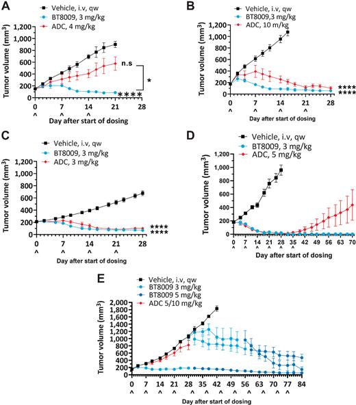 BT8009; A Nectin-4 Targeting Bicycle Toxin Conjugate for Treatment of Solid Tumors | Molecular ...