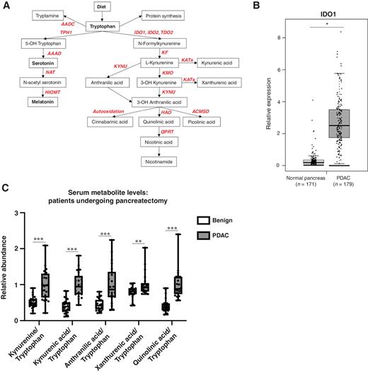 IDO1 Is a Therapeutic Target for Pancreatic Cancer–Associated ...