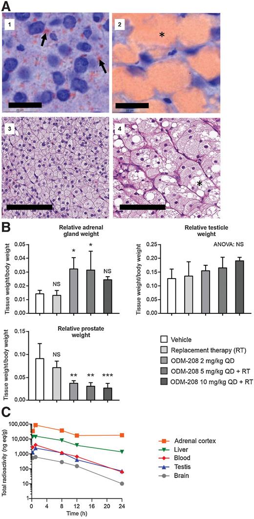 First-in-Class Small Molecule to Inhibit CYP11A1 and Steroid Hormone ...