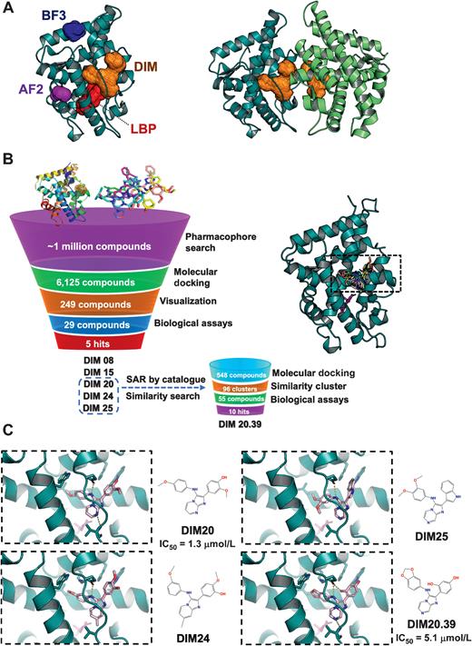 Exploiting Ligand-binding Domain Dimerization for Development of Novel ...