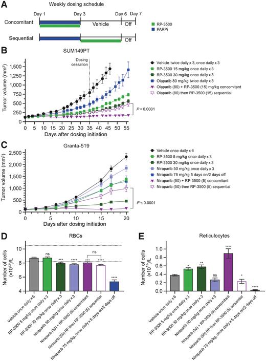 RP-3500: A Novel, Potent, and Selective ATR Inhibitor that is Effective ...