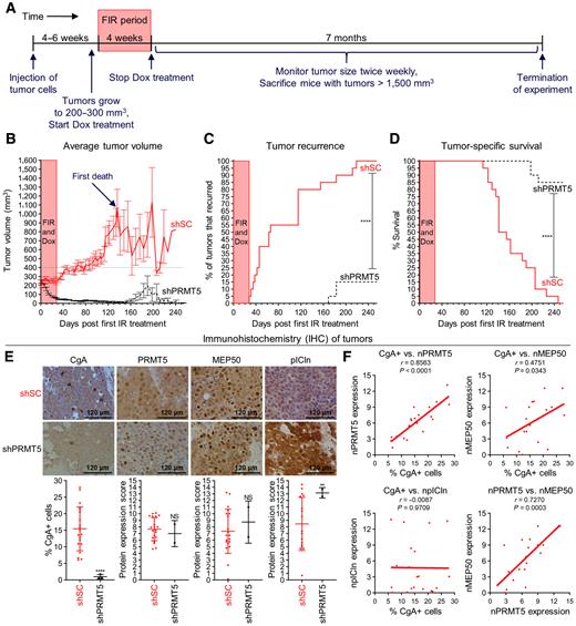 Targeting Protein Arginine Methyltransferase 5 Suppresses Radiation ...