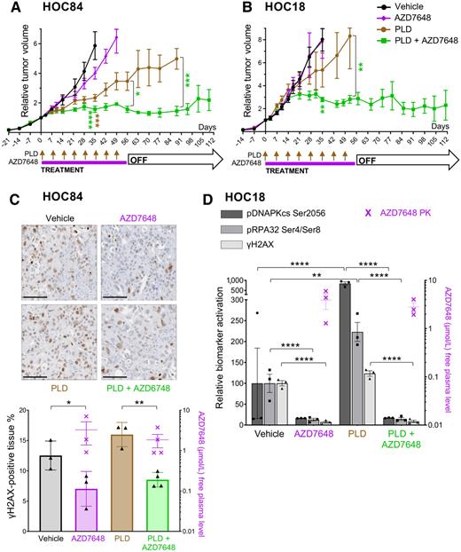 The DNA-PK Inhibitor AZD7648 Sensitizes Patient-Derived Ovarian Cancer ...