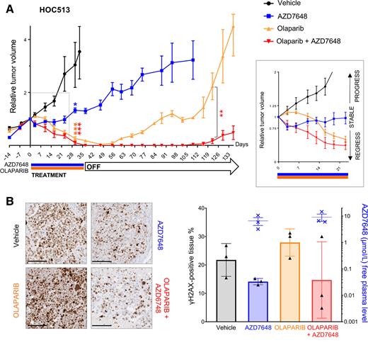 The DNA-PK Inhibitor AZD7648 Sensitizes Patient-Derived Ovarian Cancer ...