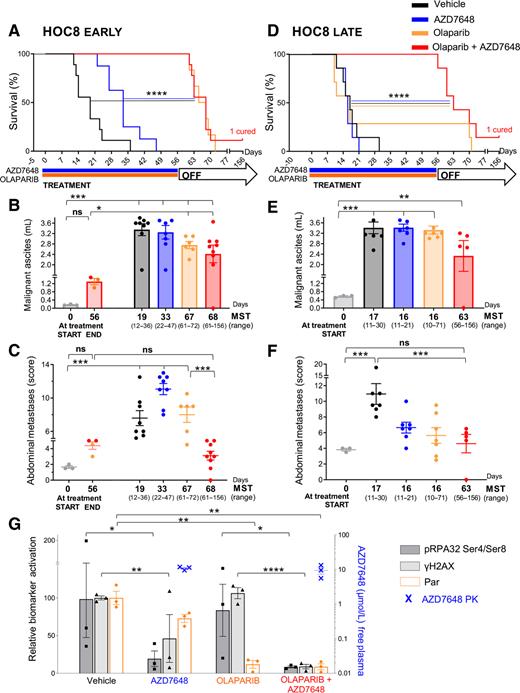 The DNA-PK Inhibitor AZD7648 Sensitizes Patient-Derived Ovarian Cancer ...