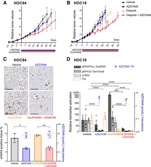 The DNA-PK Inhibitor AZD7648 Sensitizes Patient-Derived Ovarian Cancer ...