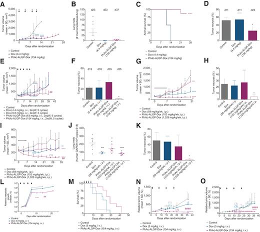 PhAc-ALGP-Dox, a Novel Anticancer Prodrug with Targeted Activation and Improved Therapeutic ...