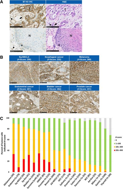 DS-7300a, a DNA Topoisomerase I Inhibitor, DXd-Based Antibody–Drug ...