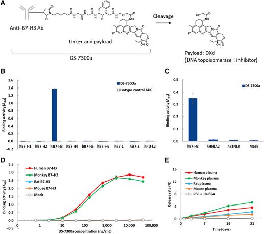 DS-7300a, a DNA Topoisomerase I Inhibitor, DXd-Based Antibody–Drug ...