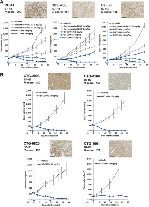DS-7300a, a DNA Topoisomerase I Inhibitor, DXd-Based Antibody–Drug ...