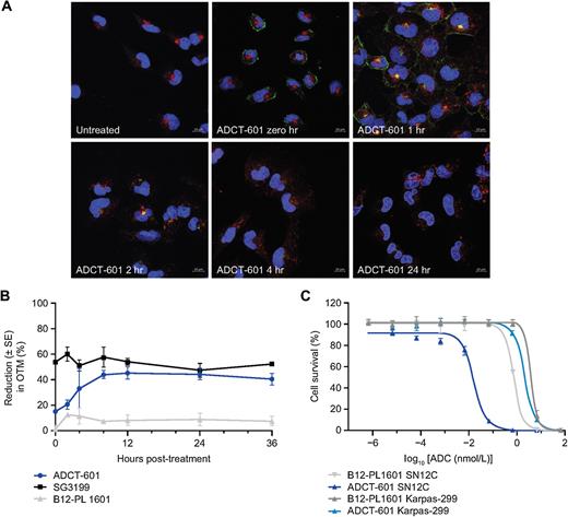 Preclinical Development of ADCT-601, a Novel Pyrrolobenzodiazepine ...