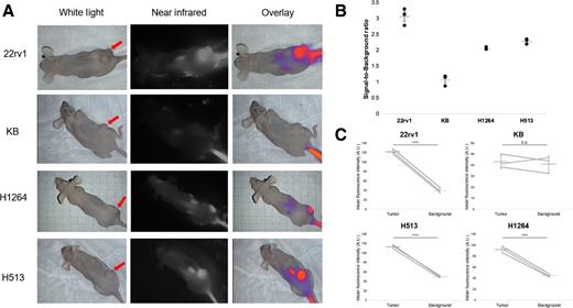 A Prostate-Specific Membrane Antigen—Targeted Near-Infrared Conjugate ...