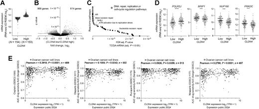 Loss of Claudin-4 Reduces DNA Damage Repair and Increases Sensitivity ...
