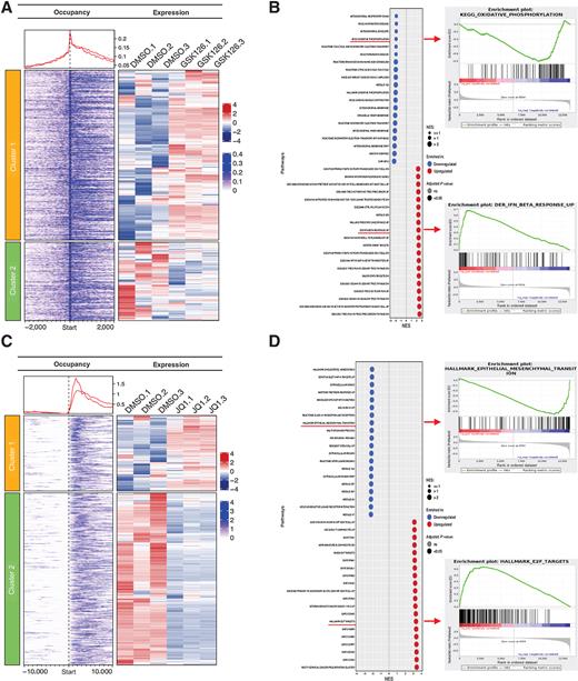 Therapeutic Targeting of EZH2 and BET BRD4 in Pediatric Rhabdoid Tumors ...