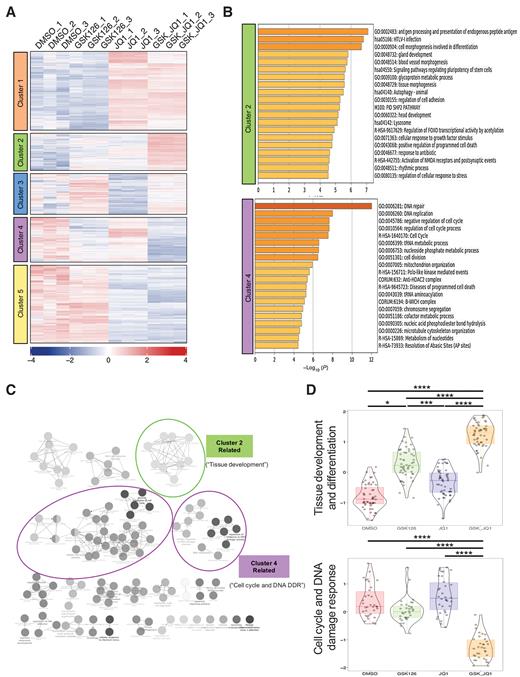 Therapeutic Targeting of EZH2 and BET BRD4 in Pediatric Rhabdoid Tumors ...
