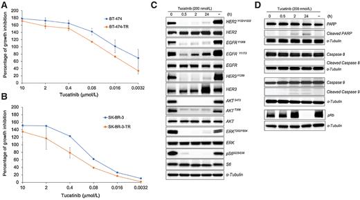 Tucatinib has Selective Activity in HER2-Positive Cancers and Significant Combined Activity with ...