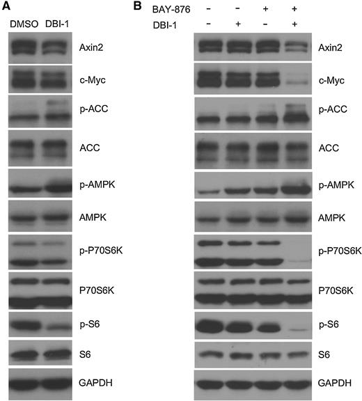 Diaminobutoxy-substituted Isoflavonoid (DBI-1) Enhances the Therapeutic ...