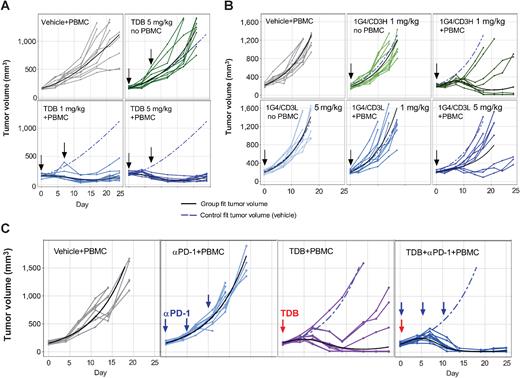 Novel Anti-LY6G6D/CD3 T-Cell–Dependent Bispecific Antibody for the ...