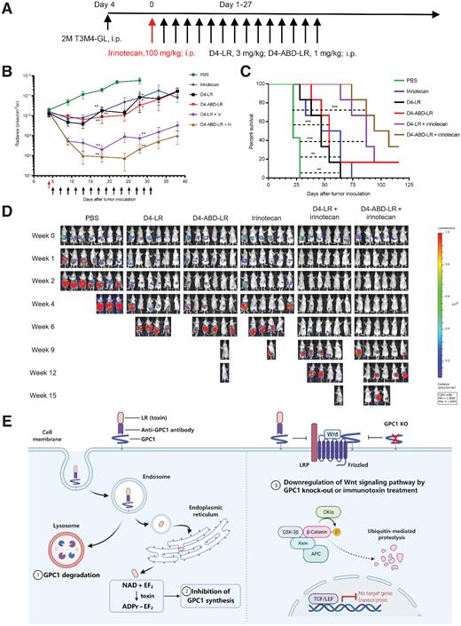 GPC1-Targeted Immunotoxins Inhibit Pancreatic Tumor Growth in Mice via ...