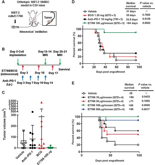 Pharmacologic Activation of STING in the Bladder Induces Potent ...