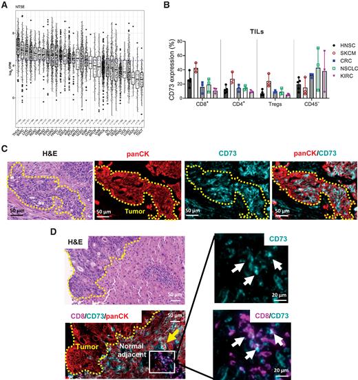 Targeting CD73 with AB680 (Quemliclustat), a Novel and Potent Small ...