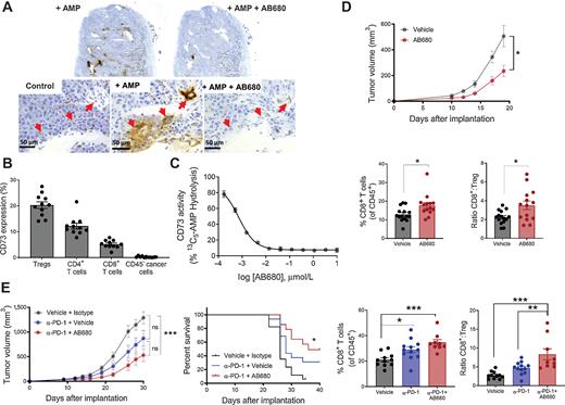 Targeting CD73 with AB680 (Quemliclustat), a Novel and Potent Small ...