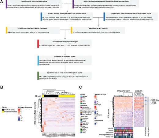 Comprehensive Surfaceome Profiling to Identify and Validate Novel Cell ...