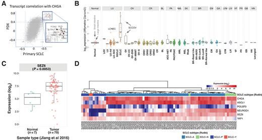 ABBV-011, A Novel, Calicheamicin-Based Antibody–Drug Conjugate, Targets ...