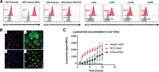ABBV-011, A Novel, Calicheamicin-Based Antibody–Drug Conjugate, Targets ...