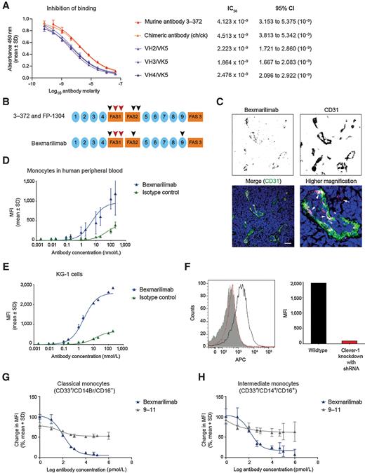 Nonclinical Characterization of Bexmarilimab, a Clever-1–Targeting Antibody for Supporting ...
