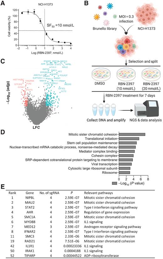 A Whole-Genome CRISPR Screen Identifies AHR Loss as a Mechanism of ...