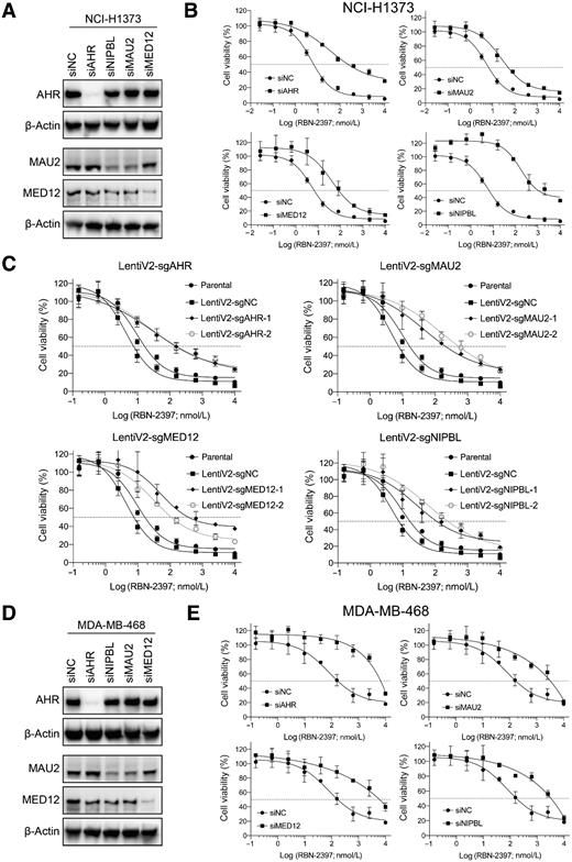 A Whole-Genome CRISPR Screen Identifies AHR Loss as a Mechanism of ...