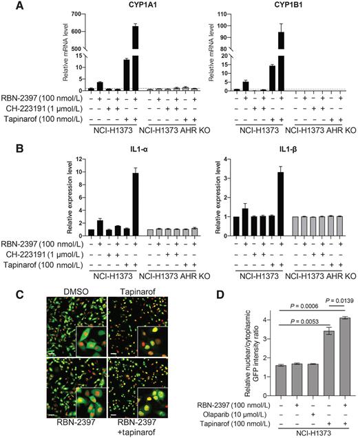 A Whole-Genome CRISPR Screen Identifies AHR Loss as a Mechanism of ...