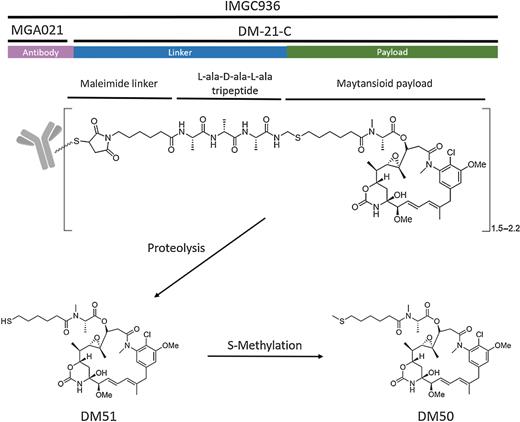 Preclinical Evaluation of IMGC936, a Next-Generation Maytansinoid-based ...