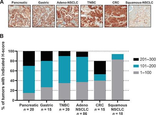 Preclinical Evaluation of IMGC936, a Next-Generation Maytansinoid-based Antibody–drug Conjugate ...