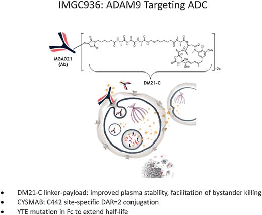 Preclinical Evaluation of IMGC936, a Next-Generation Maytansinoid-based ...