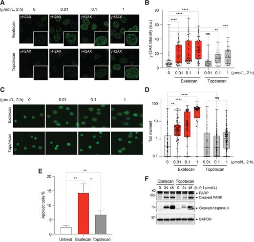 TOP1-DNA Trapping by Exatecan and Combination Therapy with ATR ...