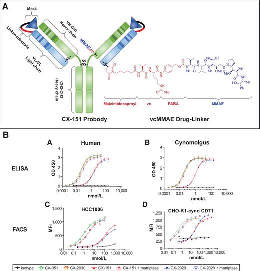 Nonclinical Efficacy and Safety of CX-2029, an Anti-CD71 Probody–Drug ...