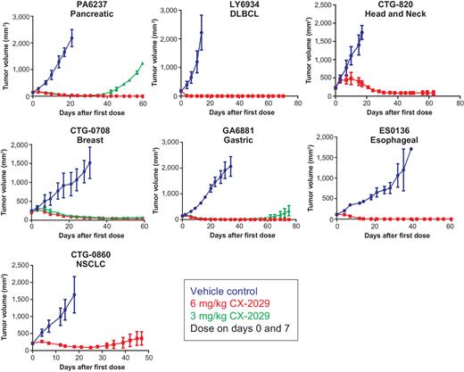 Nonclinical Efficacy and Safety of CX-2029, an Anti-CD71 Probody–Drug ...