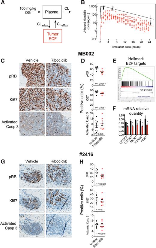 Combination of Ribociclib and Gemcitabine for the Treatment of ...