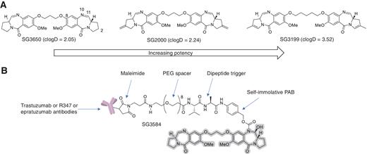 Efficacy, Tolerability, and Pharmacokinetic Studies of Antibody–Drug ...