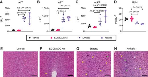 An Enzymatically Cleavable Tripeptide Linker for Maximizing the ...