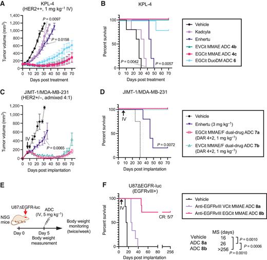 An Enzymatically Cleavable Tripeptide Linker for Maximizing the ...