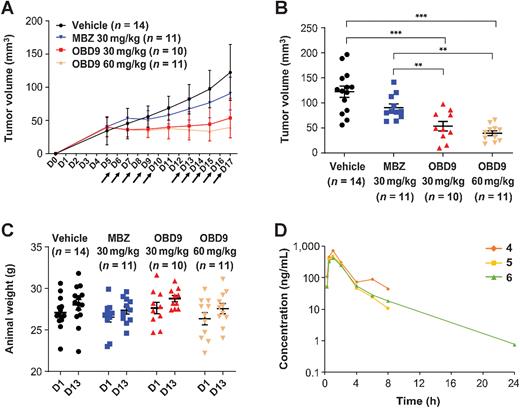 Inhibition of Wnt Signaling in Colon Cancer Cells via an Oral Drug that ...