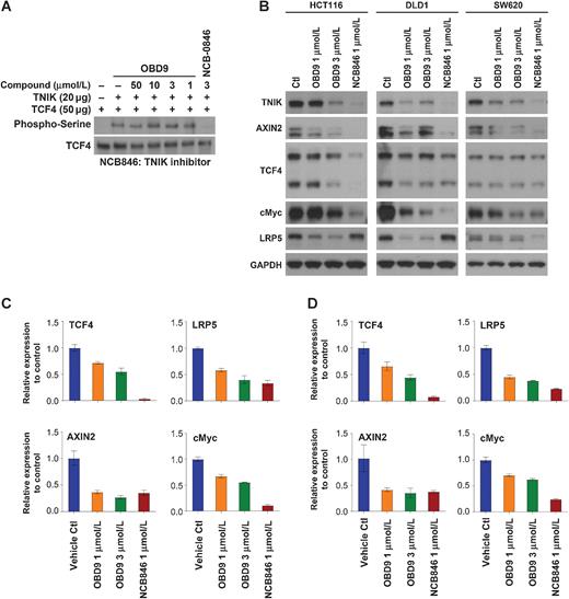 Inhibition of Wnt Signaling in Colon Cancer Cells via an Oral Drug that ...