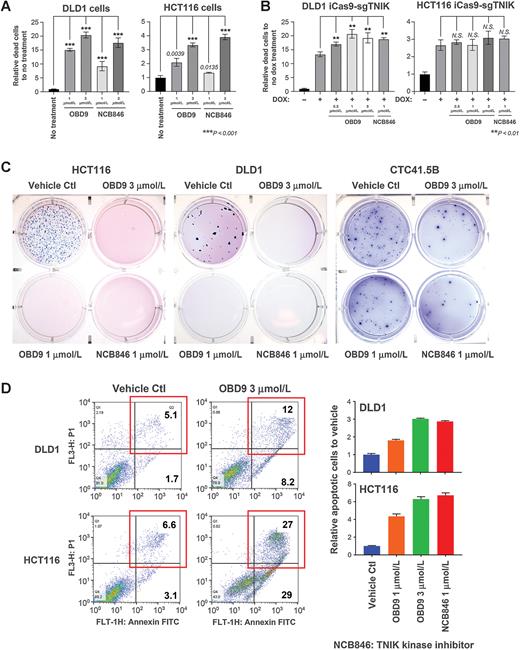 Inhibition of Wnt Signaling in Colon Cancer Cells via an Oral Drug that ...