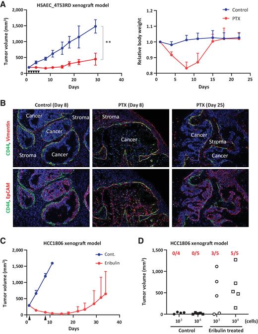 ER-851, a Novel Selective Inhibitor of AXL, Overcomes Resistance to ...